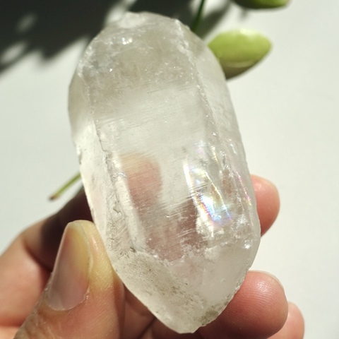 ロシアンレムリアンシードの商品一覧 | カラジェ ~color jewel ロシアンレムリアンシードの商品一覧 | カラジェ ~color jewel
